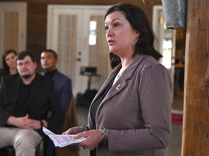 Lt. governor touts state, local efforts and says more work ahead ...