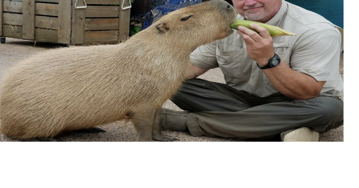 ISU to present Wild Word of Animals | Valley Life | tribstar.com