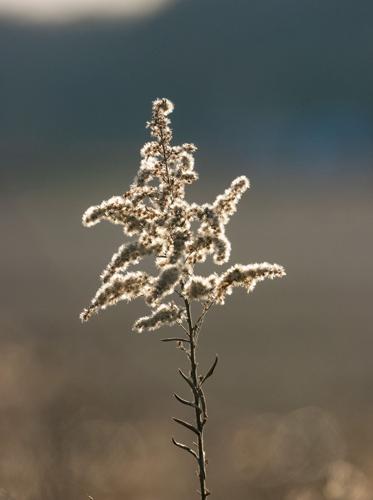 MIKE LUNSFORD: ‘...each moment of the year has its own beauty’ | Valley ...
