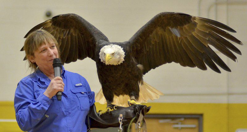 Birds of Prey fly into Rosedale Elementary School | Local News ...