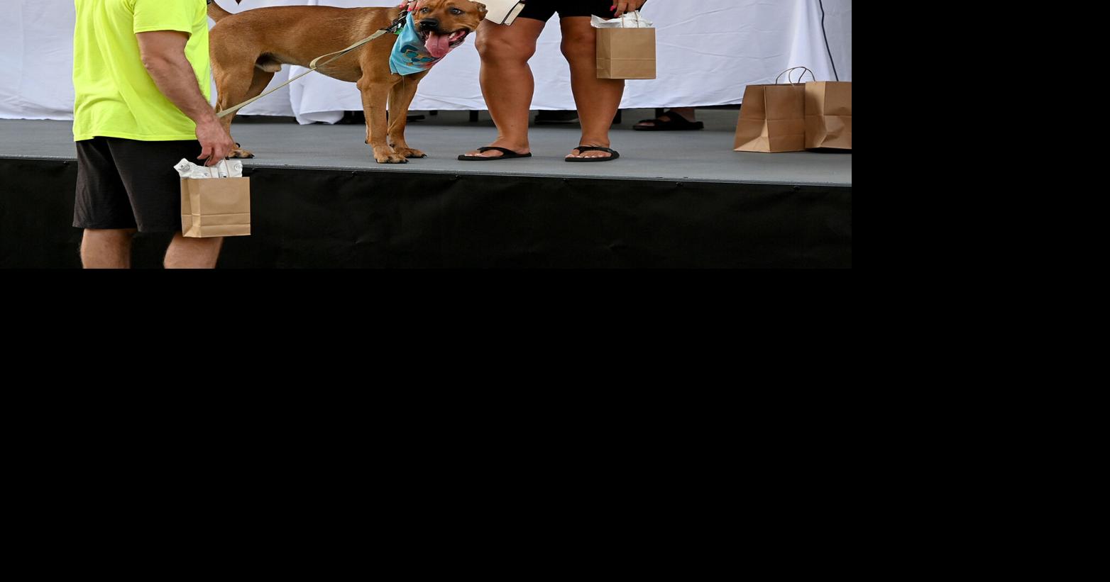 MET 080423 MERCY DOGS RUNYAN | | tribstar.com