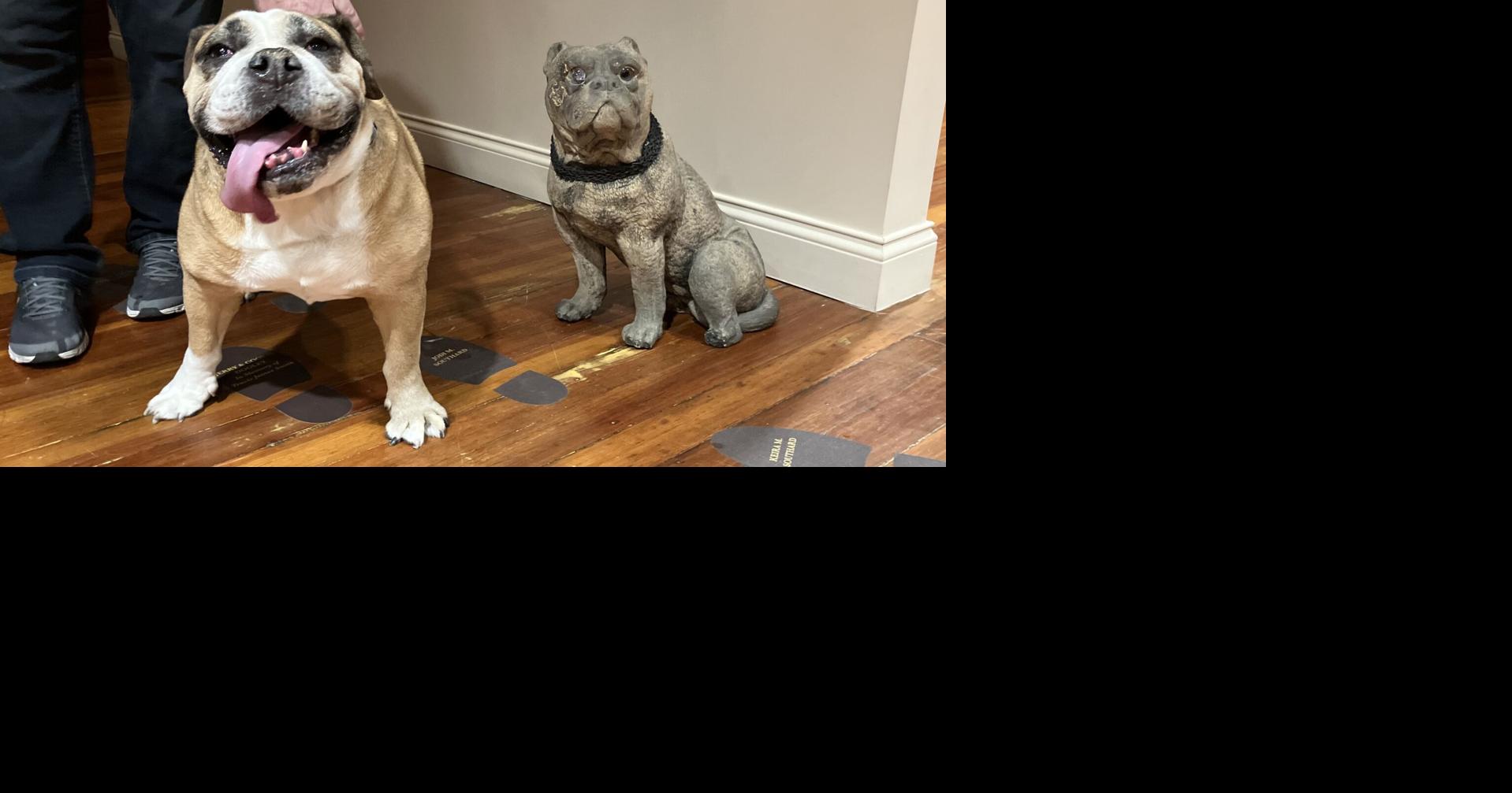 Stiffy Green gets look-alike visitors | Local News | tribstar.com