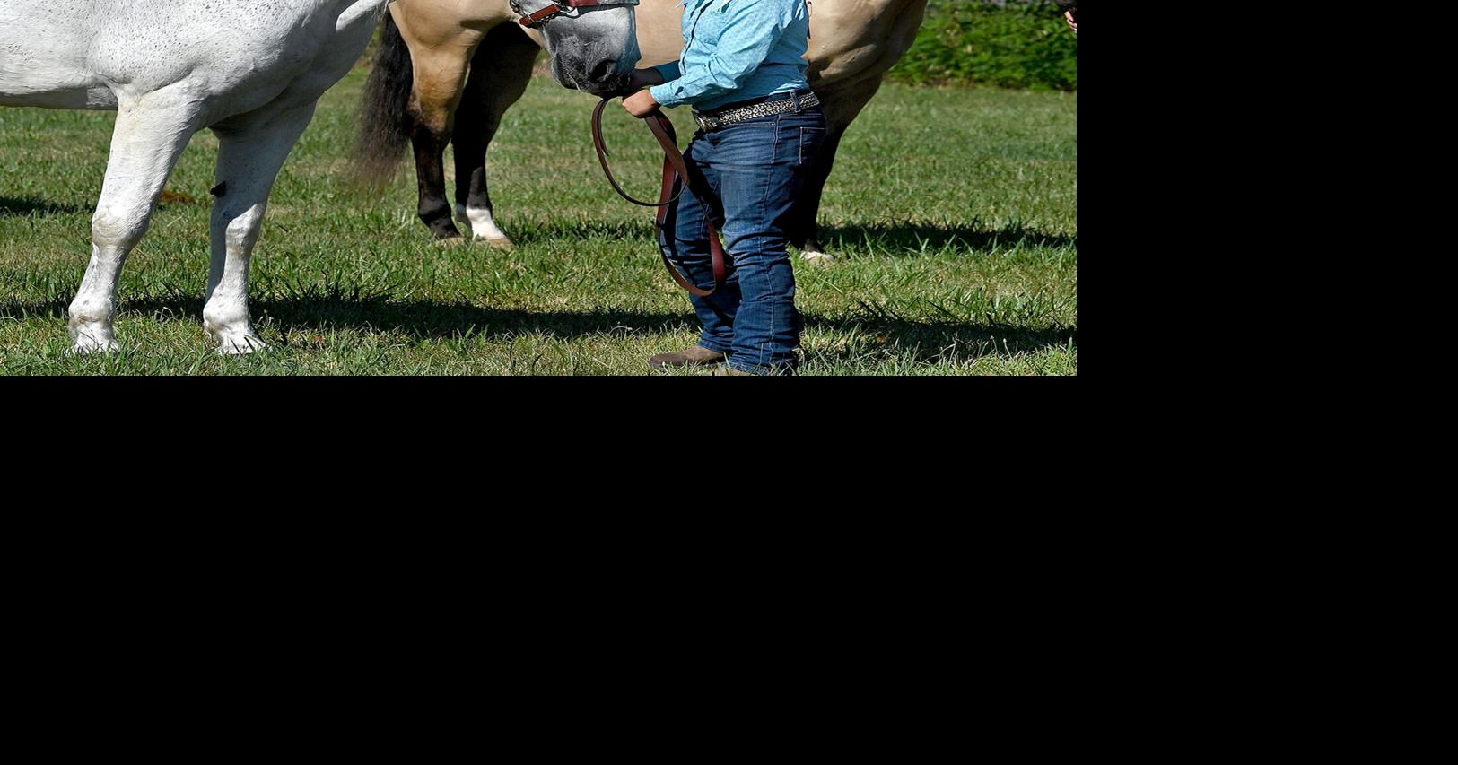 The 2024 4-H Horse & Pony Show at the Vigo County Fair | Gallery ...