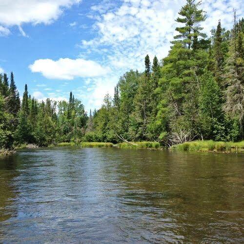 Didymo/rock snot found in Au Sable River | News | truenorthradionetwork.com