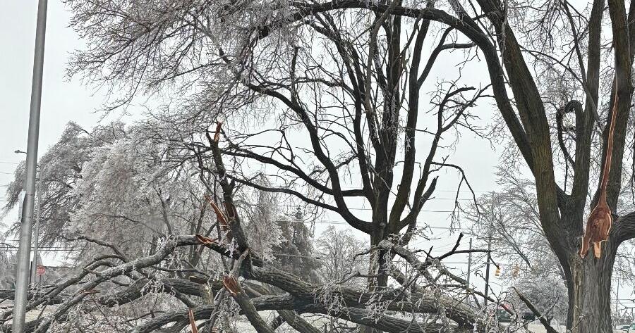 DPW service center drop off/Final storm brush pick-up | News ...