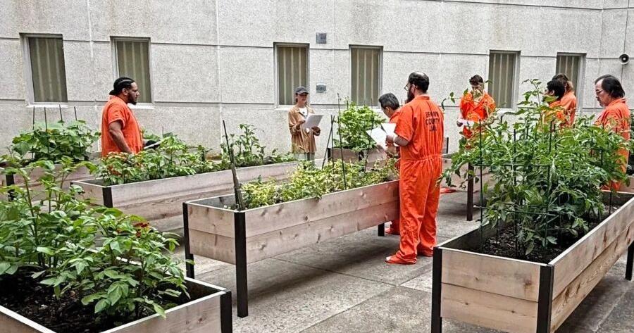 Alpena Sheriff’s Office moves forward with inmate garden | News ...