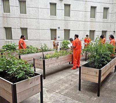 Alpena Sheriff’s Office moves forward with inmate garden | News ...