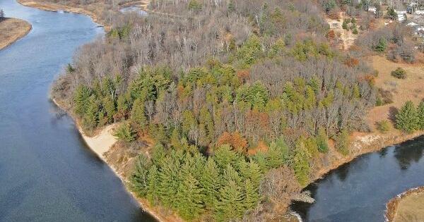 Spring wildflower walk on Hull Island in Oscoda | News ...