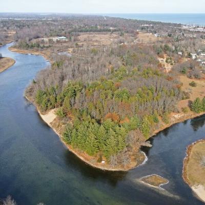 Spring wildflower walk on Hull Island in Oscoda | News ...