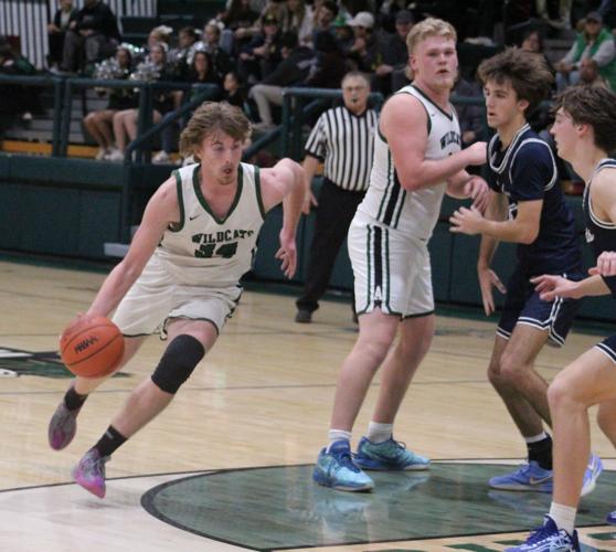 Wildcats surrender lead in home-opening loss to Bay City John Glenn ...