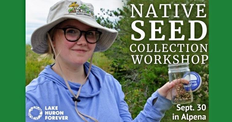 Volunteers needed for native seed collection program in Alpena | News ...
