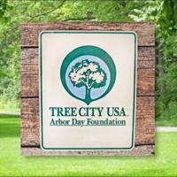 Alpena certified as Tree City USA community for 26th year | News ...