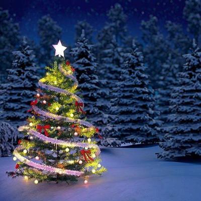 Salvation Army has until Christmas Eve to reach $190K goal | News ...