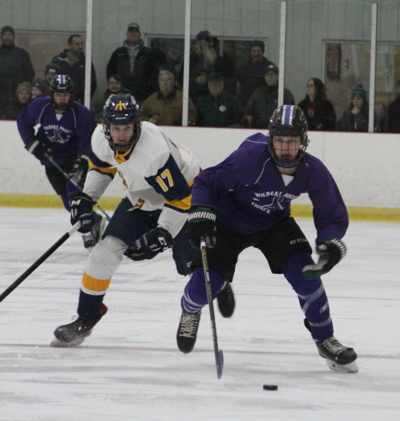 Wildcats stay red hot with dominant BNC win over Gaylord | Sports ...