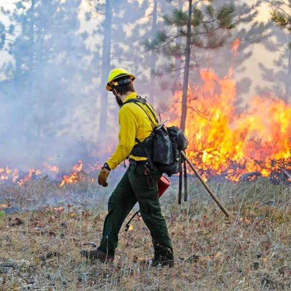 Forest service to conduct prescribed burns in Alcona, Iosco & Oscoda counties | News ...