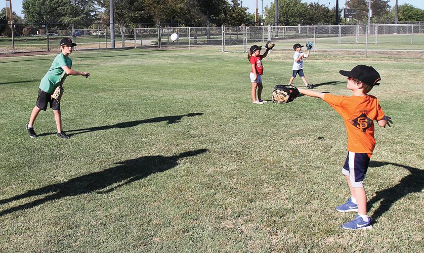 Junior Giants program brings kids back to the baseball field | Tracy ...