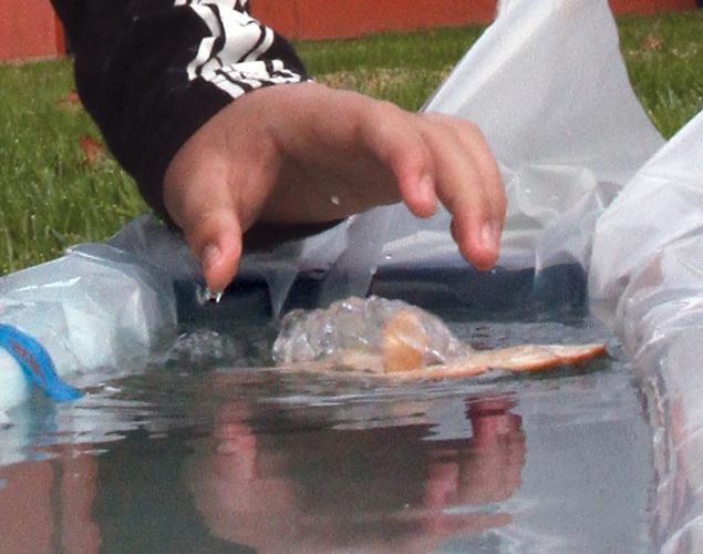 Students float their STEM skills in paddle boat challenge at North ...