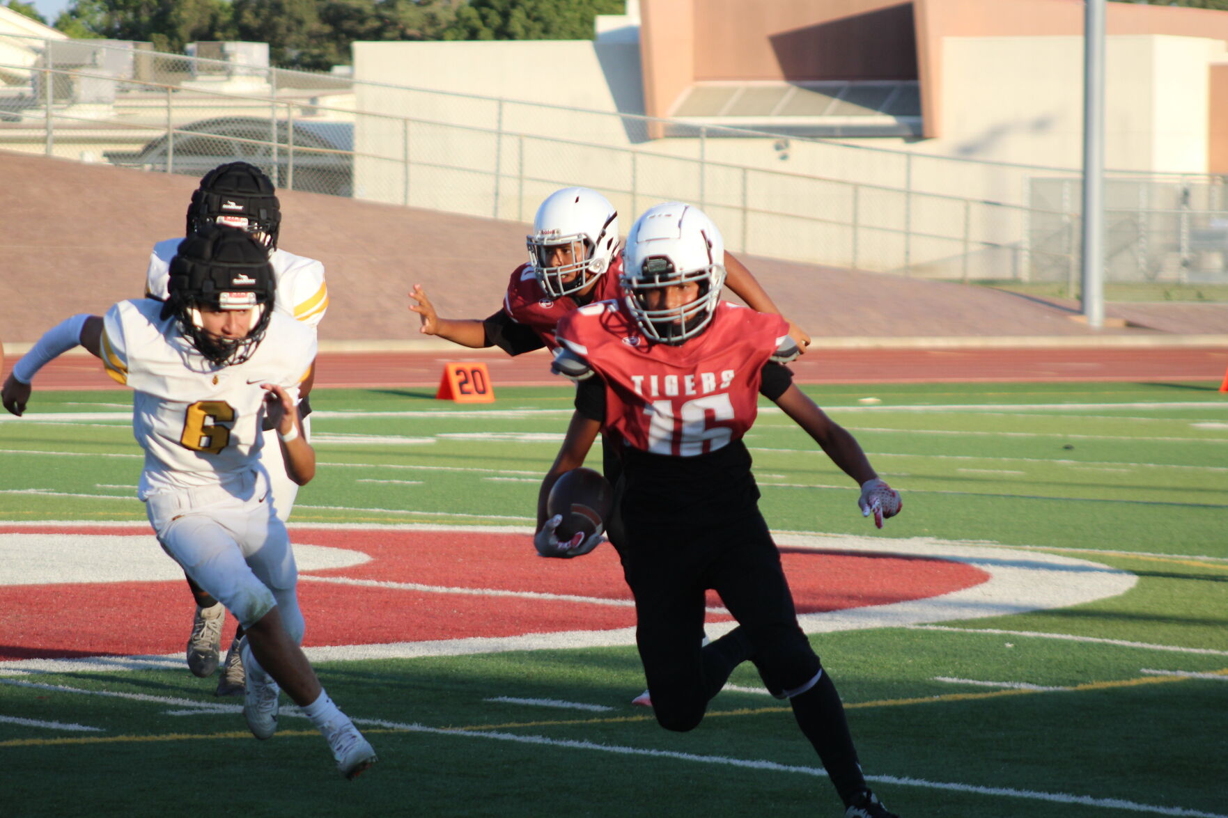 Patterson Irrigator | ttownmedia.com