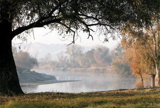 Private group begins to revamp Laird Park | Patterson Irrigator News ...