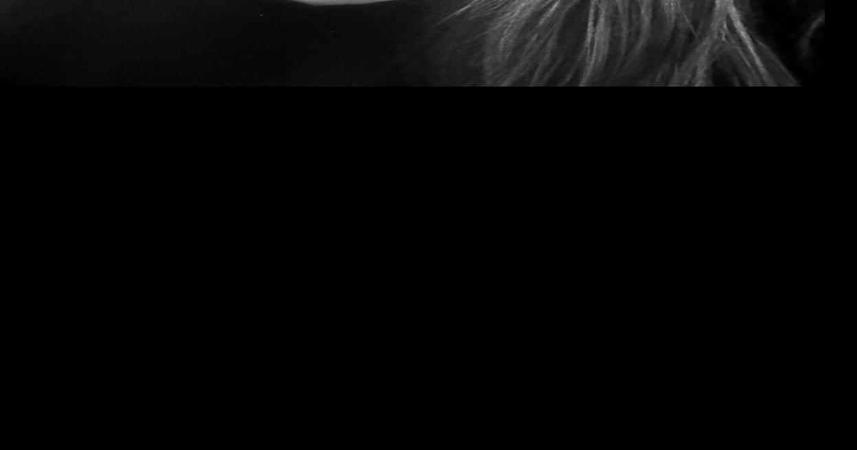 Alma Rosa Romo: August 22, 1978 – December 9, 2023 | Patterson ...