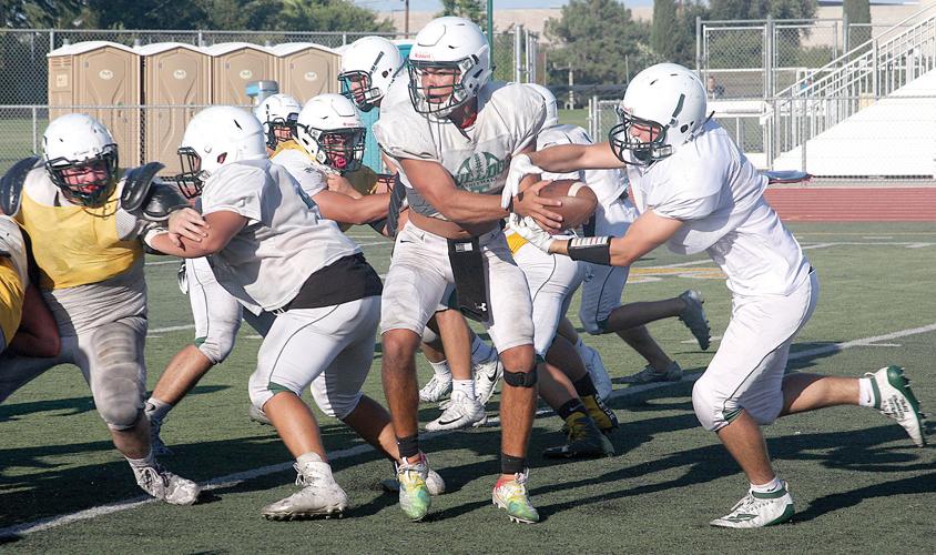 Seasoned offensive core to lead Bulldogs | Tracy Press sports ...