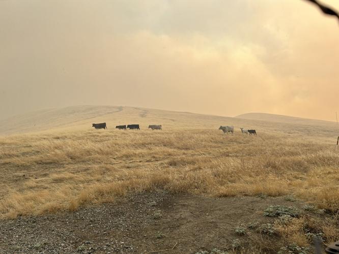 Fire burns more than 14,000 acres south of Tracy | Tracy Press News ...