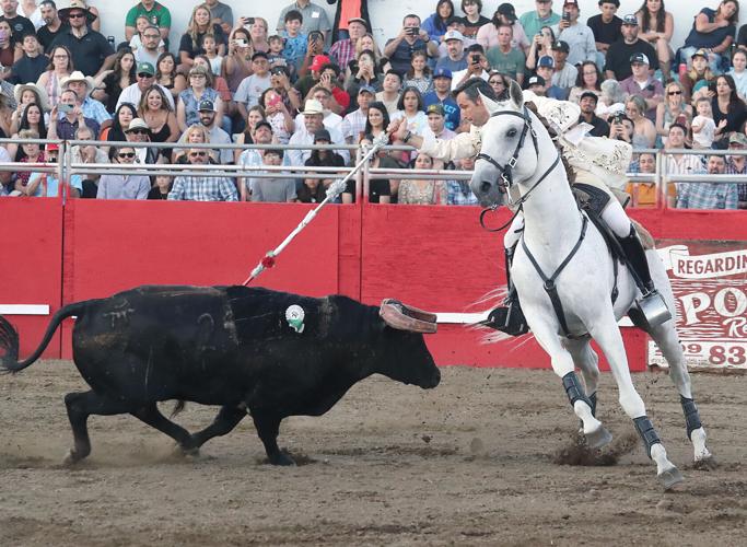 Bloodless bullfights return to Campo Pequeno bullring | Tracy Press ...