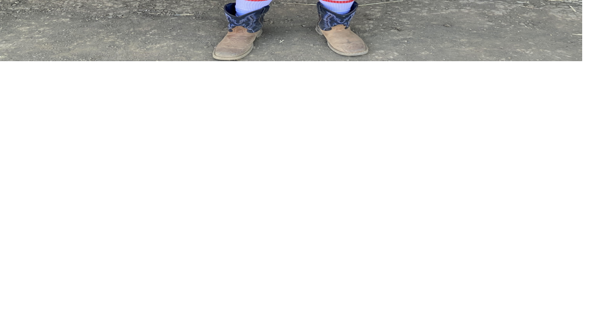 Rodeo clown wins costume contest | Patterson Irrigator | ttownmedia.com