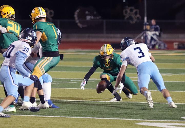 Tracy loses playoff game | Tracy Press | ttownmedia.com