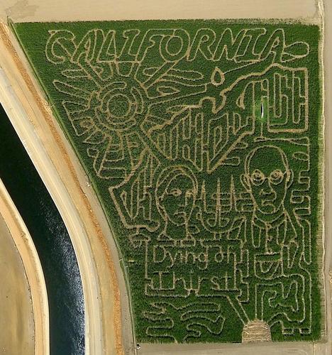 Fantozzi Farms’ drought-themed corn maze open through October ...