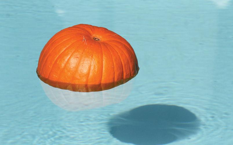 Swimmers dive into floating pumpkin patch at Joe Wilson Pool | Tracy ...