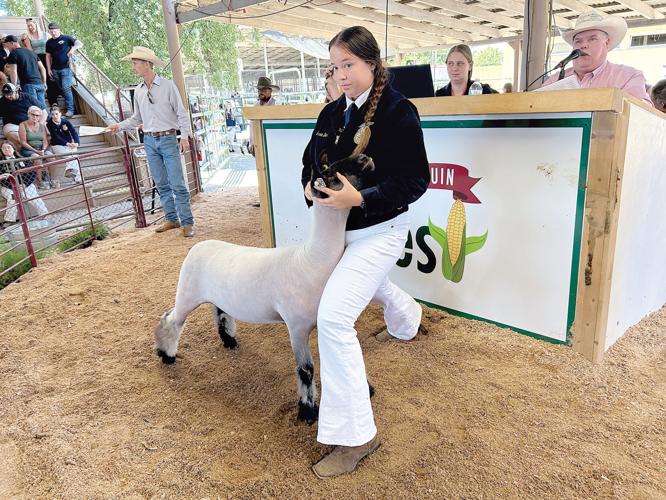 Local youths bring home top awards from AgFest | Tracy Press ...