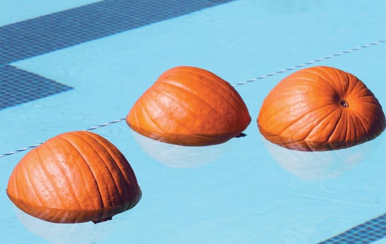 Swimmers dive into floating pumpkin patch at Joe Wilson Pool | Tracy ...