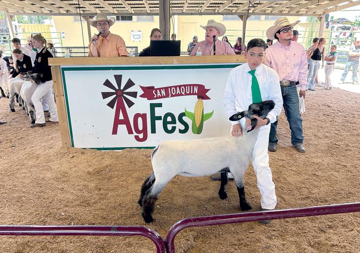 Local youths bring home top awards from AgFest | Tracy Press ...