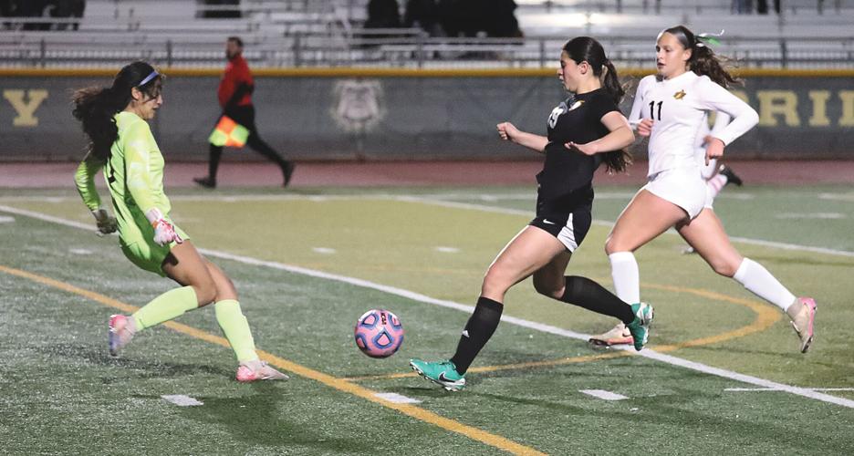 Girls soccer: Bulldogs upset by Raiders in playoff quarterfinal | Tracy ...
