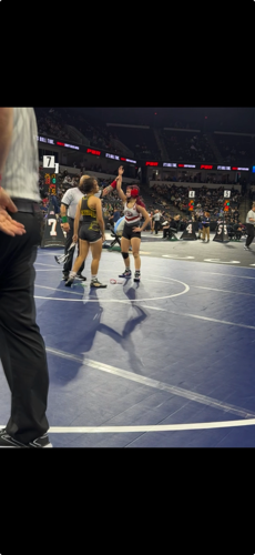 PHS Wrestler Gabby Ross Reflects on Going to State Championship ...