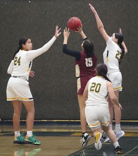Basketball: Bulldogs open Breakfast Lions/Tom Hawkins tournament with ...
