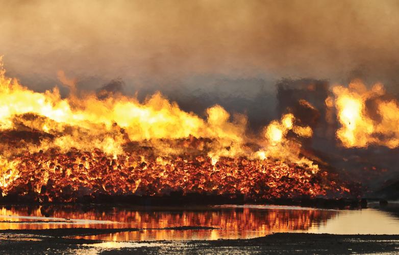 Fire burns through Banta pallet facility | Tracy Press | ttownmedia.com