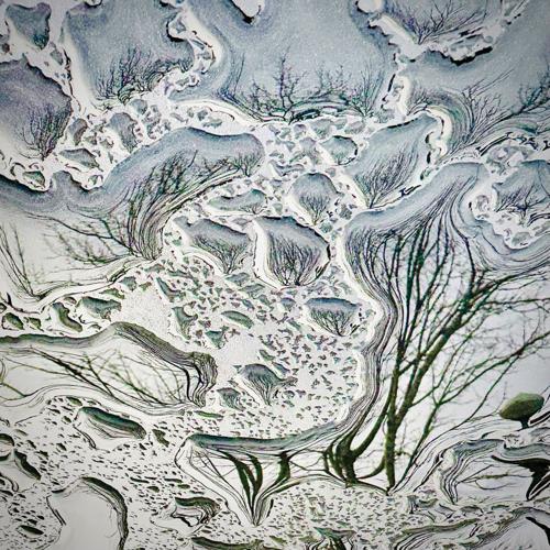 Tracy Camera Club end of year, February winners selected | Tracy Press ...