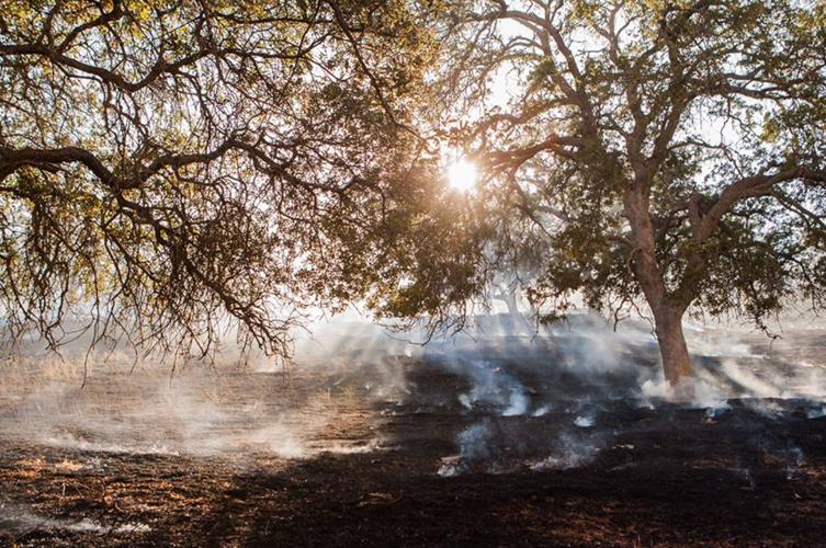 Gallery: Diablo Fire | Patterson Irrigator | ttownmedia.com