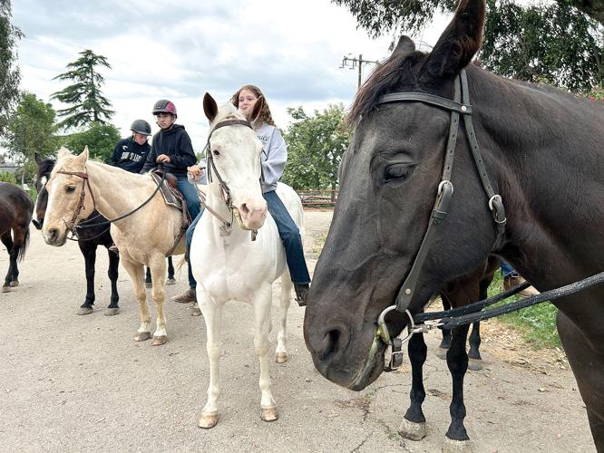 Google helps make riding center a popular destination | Tracy Press ...