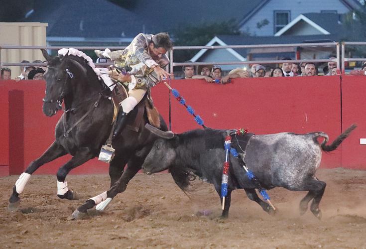 Bloodless bullfights close out 100th festa celebration | Tracy Press ...