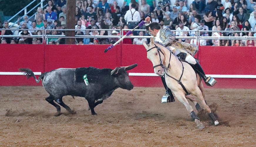 Bloodless bullfights close out 100th festa celebration | Tracy Press ...