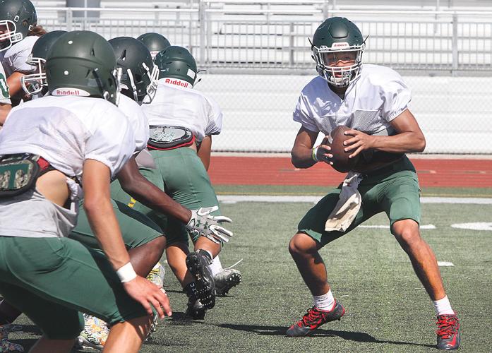'Dogs combine experience, talent | Tracy Press | ttownmedia.com