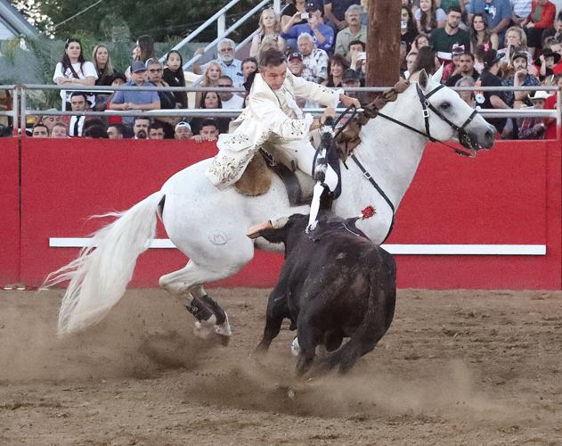 Bloodless bullfights close out 100th festa celebration | Tracy Press ...