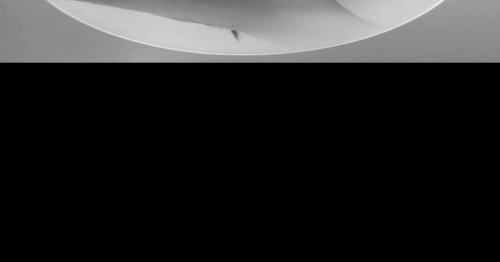 Carolyn Ann Messer: February 17, 1934 – August 16, 2023 | Patterson ...