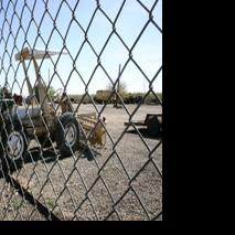 Patterson Vegetable Co. to cease harvesting operations | Patterson ...