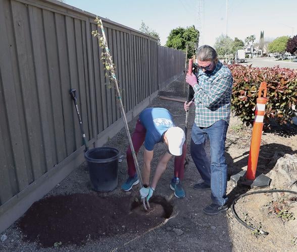 Tree planting kicks off Earth Day activities | Tracy Press | ttownmedia.com