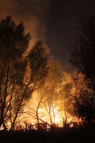 Nearly 100-acres scorched by wildfire | Patterson Irrigator ...