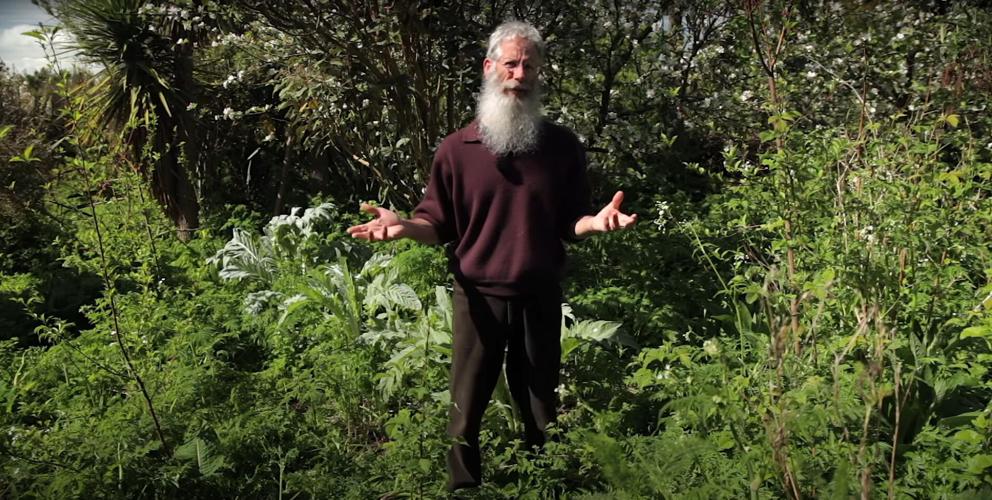 Wild Abundance: excellent examples of food forest gardening | Patterson ...